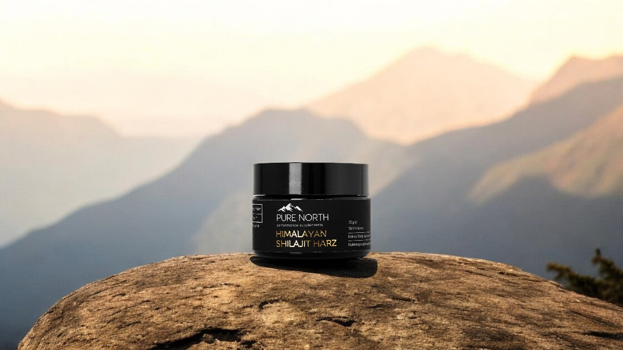 Shilajit von Pure North - die erste Premiummarke für Shilajit in ...