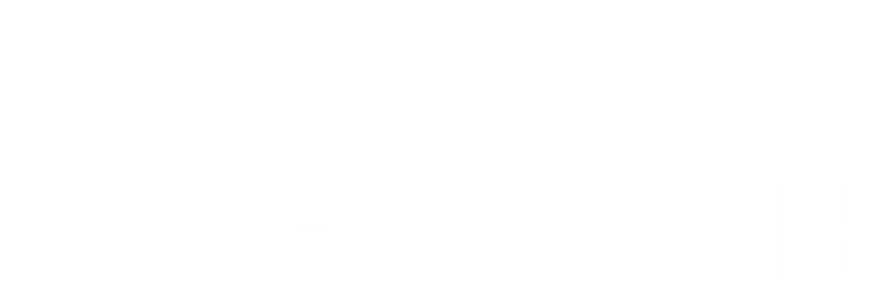 Shilajit von Pure North - die erste Premiummarke für Shilajit in ...